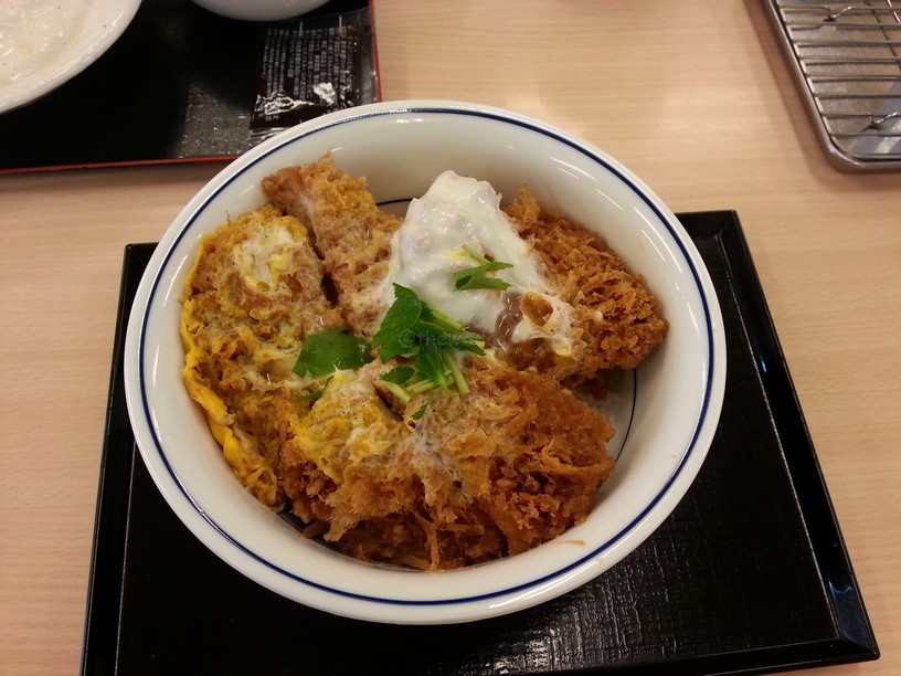 A Quick Guide To Japanese Fast Food - The Wadas On Duty