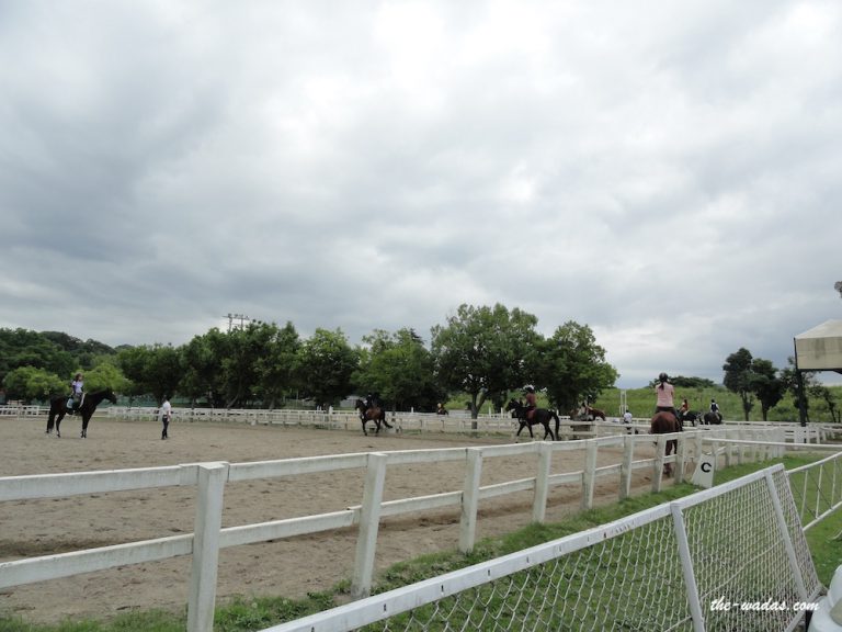 My First Horse Riding in Japan - The Wadas On Duty