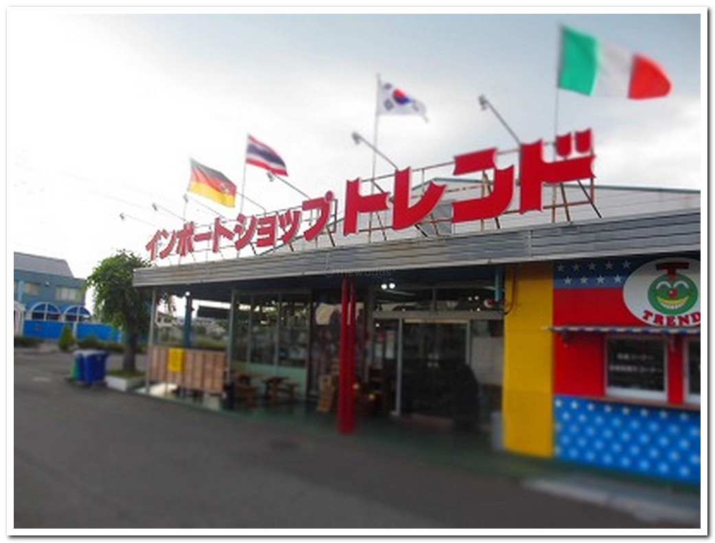 Recommended Import Stores in Japan - The Wadas On Duty