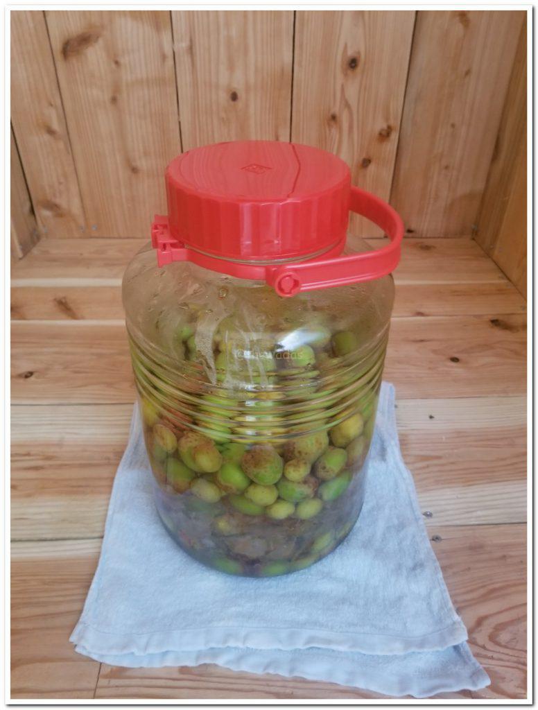 How to make homemade Umeshu (Japanese plum wine) - The Wadas On Duty